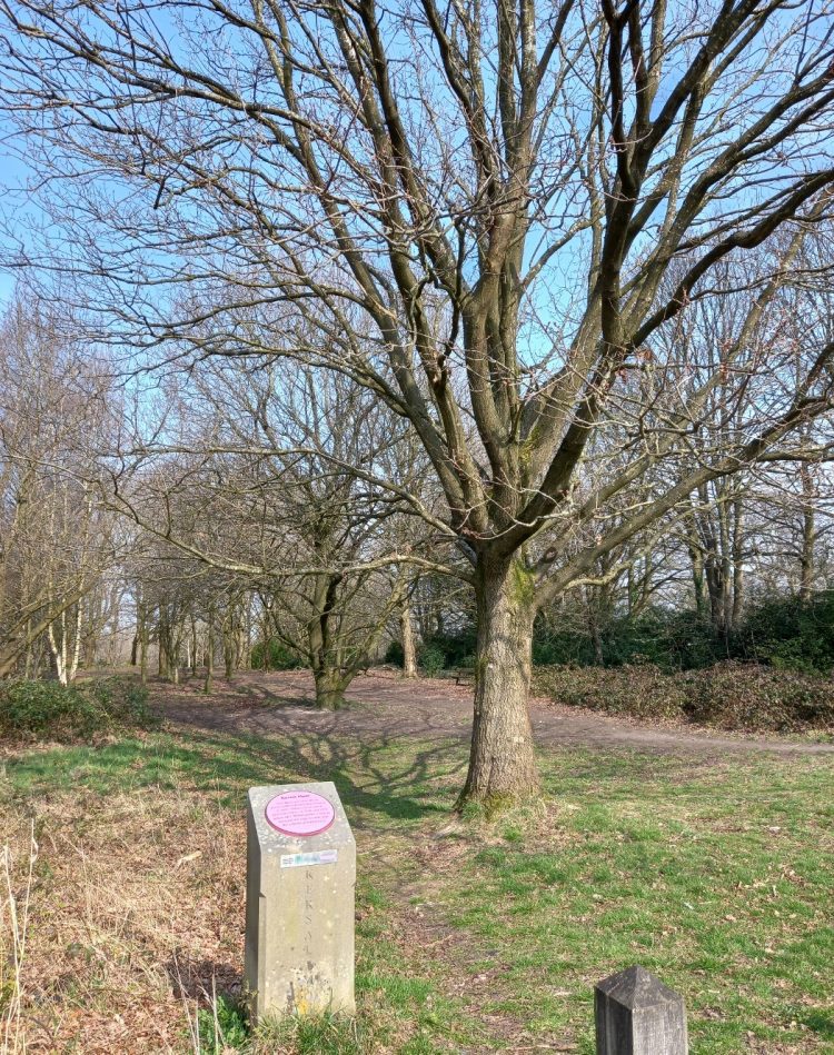 Chartist Commemorations on Kersal Moor - Bury New Road